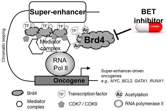 BET Bromodomain Inhibitors: Novel Design Strategies and Therapeutic ...