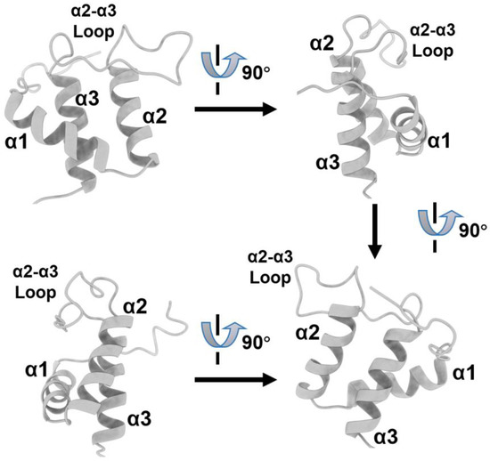 BET Bromodomain Inhibitors: Novel Design Strategies and Therapeutic ...