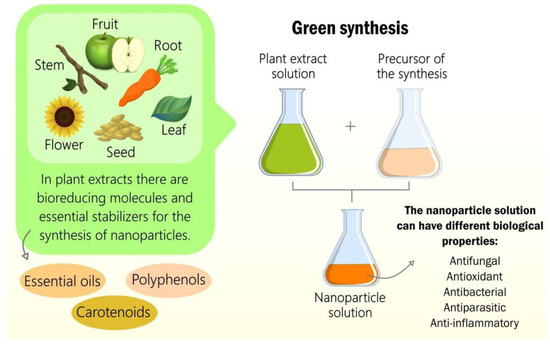 Biosynthesis of Nanoparticles Using Plant Extracts and Essential Oils