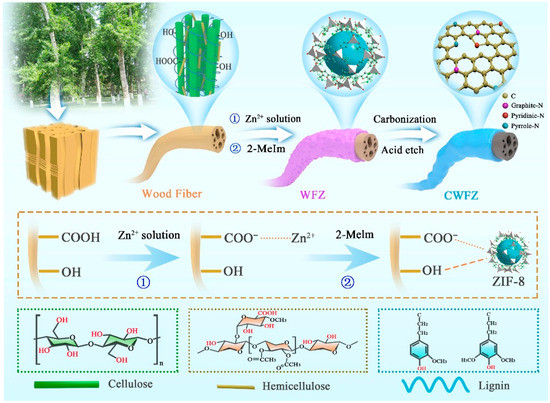 N-Doped Carbon Fibers Derived from Porous Wood Fibers Encapsulated in a Zeolitic Imidazolate ...