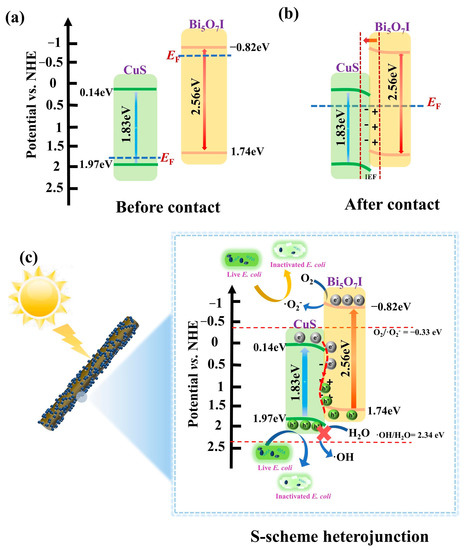 Construction of S-Scheme CuS/Bi5O7I Heterojunction for Boosted ...