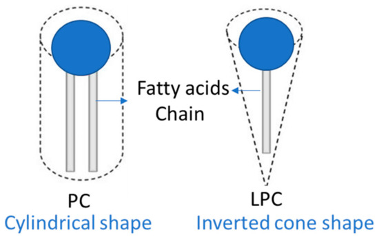 Marine Fish-Derived Lysophosphatidylcholine: Properties, Extraction ...