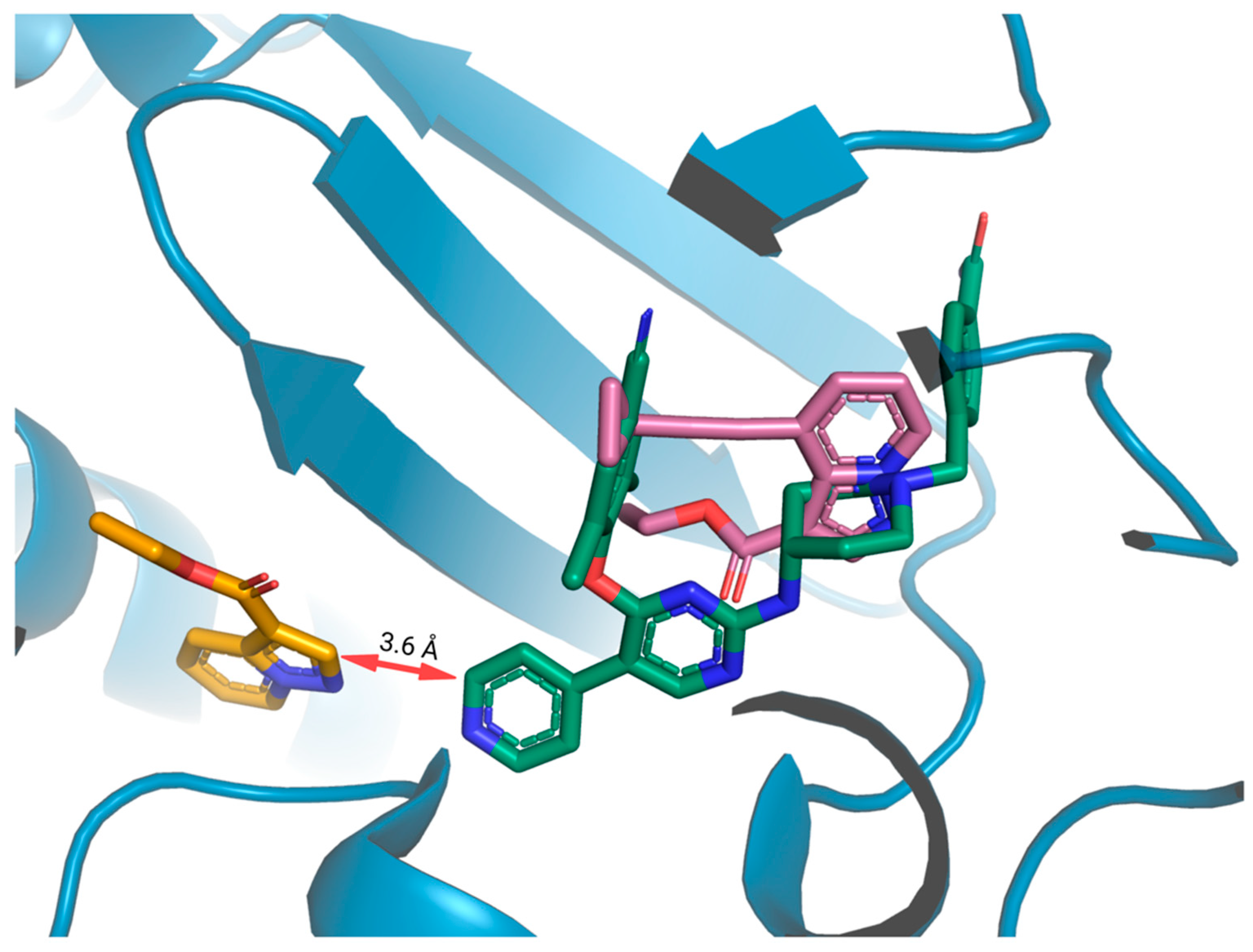 Molecules Free Full Text Targeting Hiv 1 Reverse Transcriptase Using A Fragment Based Approach