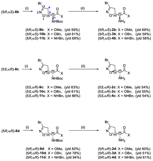 Role of Stereochemistry on the Biological Activity of Nature-Inspired 3 ...