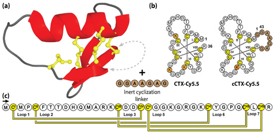 Native and Engineered Cyclic Disulfide-Rich Peptides as Drug Leads