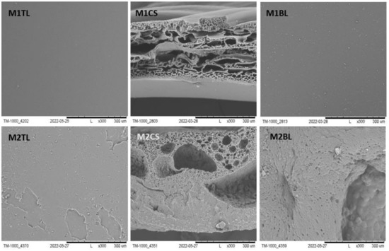 Scaffolds for Cartilage Tissue Engineering from a Blend of ...