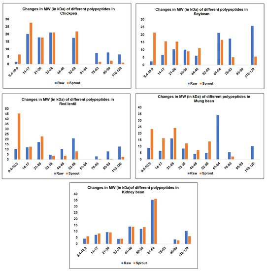 Relationship between Protein Digestibility and the Proteolysis of ...
