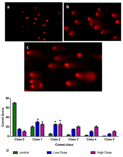 Therapeutic Potential of Albumin Nanoparticles Encapsulated Visnagin in ...