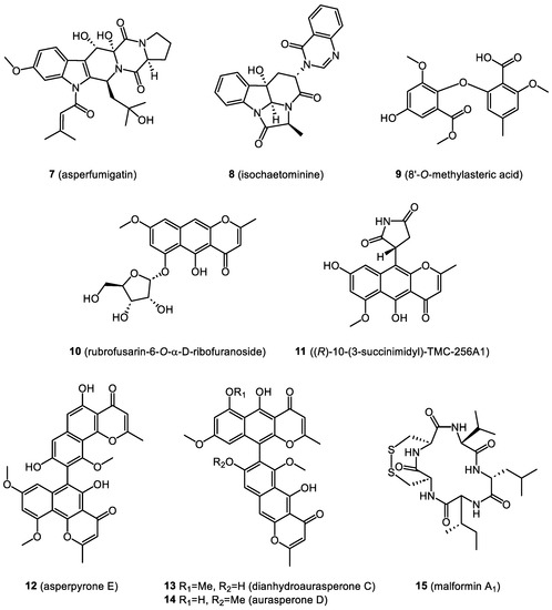 Bioactive Compounds Produced by Endophytic Microorganisms Associated ...