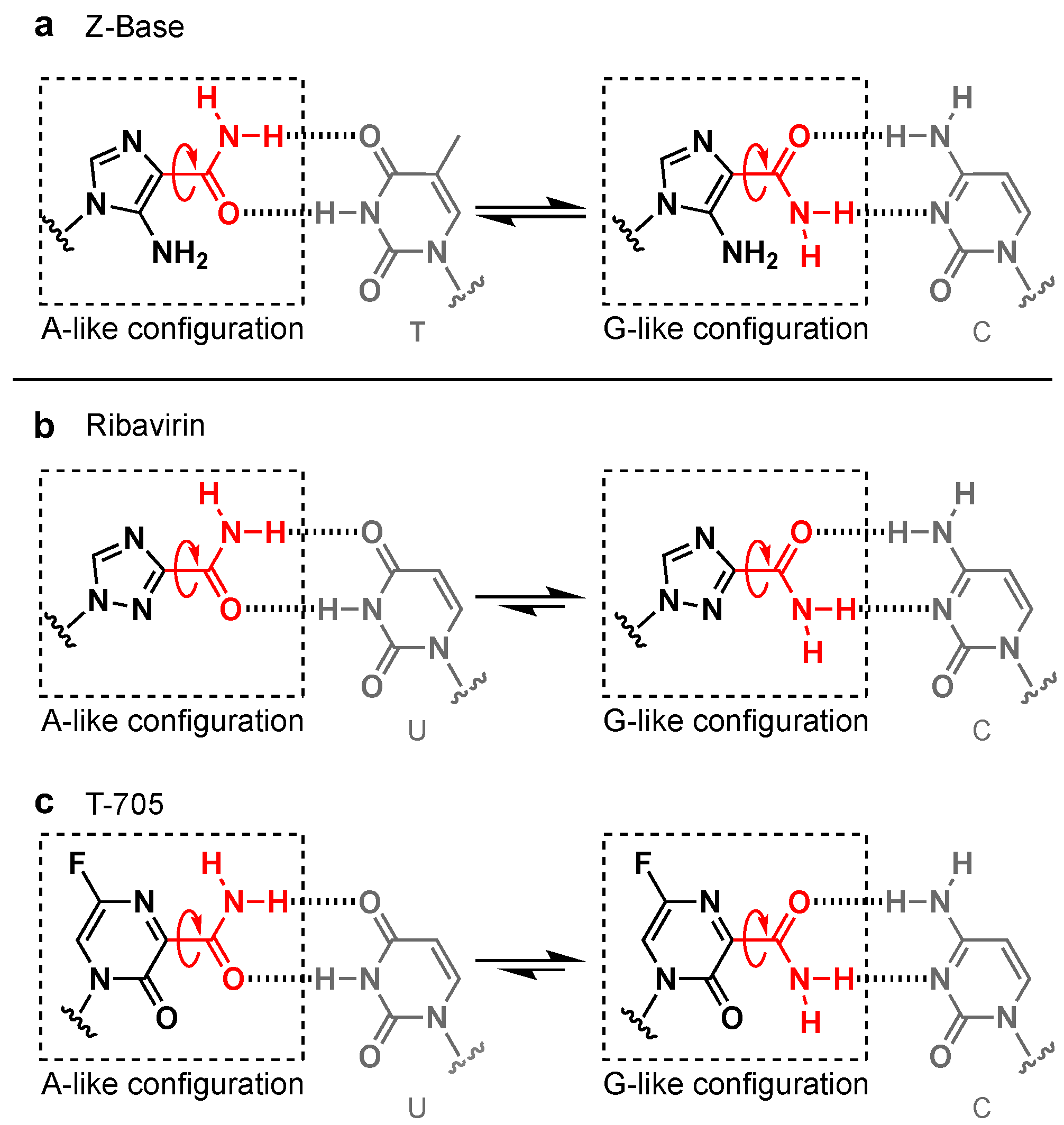 Synthesis and Behavior of DNA Oligomers Containing the Ambiguous Z-Nucleobase 5-Aminoimidazole-4 ...