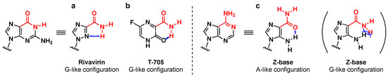Synthesis and Behavior of DNA Oligomers Containing the Ambiguous Z ...