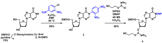 Synthesis and Behavior of DNA Oligomers Containing the Ambiguous Z-Nucleobase 5-Aminoimidazole-4 ...