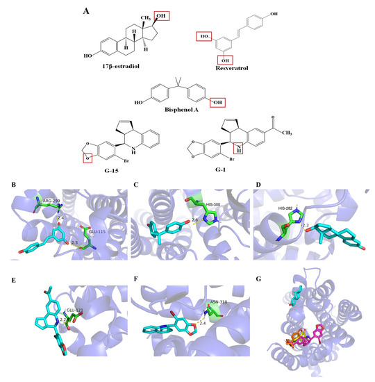 Study of the Sensing Kinetics of G Protein-Coupled Estrogen Receptor ...