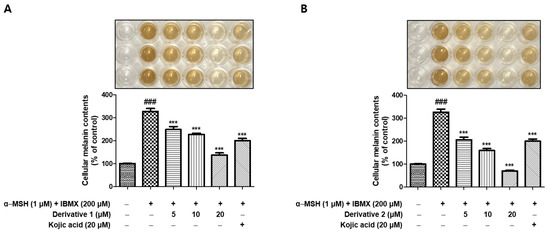 Molecules | Free Full-Text | Design, Synthesis, In Vitro, and In Silico Insights of 5 ...