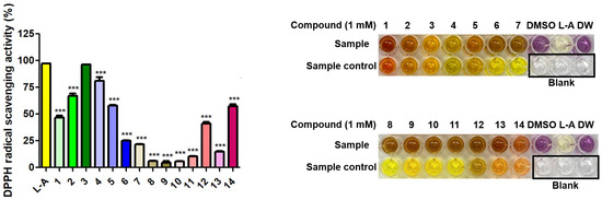 Molecules | Free Full-Text | Design, Synthesis, In Vitro, and In Silico Insights of 5 ...
