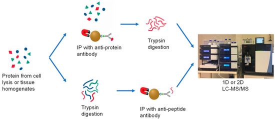Development of a Highly Sensitive Hybrid LC/MS Assay for the ...