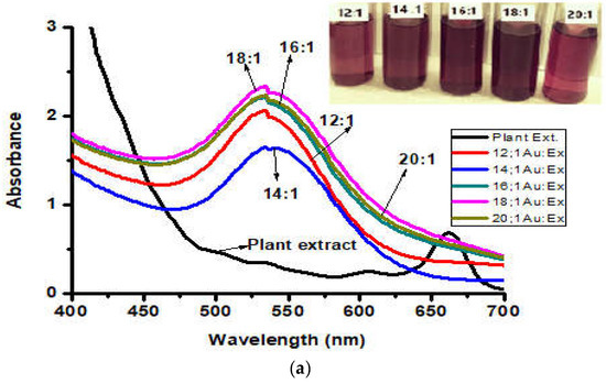 One Pot Synthesis, Biological Efficacy of AuNPs and Au-Amoxicillin ...
