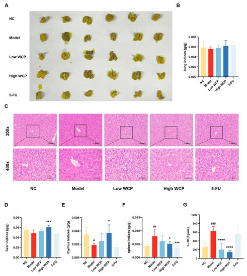 The Large Molecular Weight Polysaccharide from Wild Cordyceps and Its Antitumor Activity on H22 ...