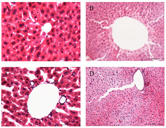 Hepatotoxic Components Effect of Chebulae Fructus and Associated ...
