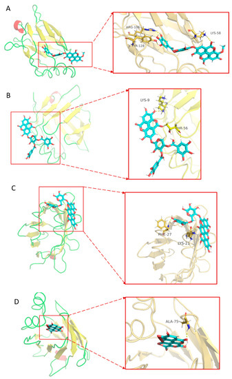 Hepatotoxic Components Effect of Chebulae Fructus and Associated ...