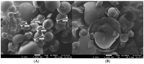 Development and Characterization of New Green Propolis Extract ...