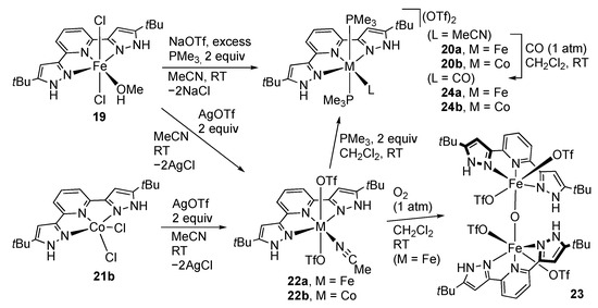Recent Developments in Reactions and Catalysis of Protic Pyrazole Complexes