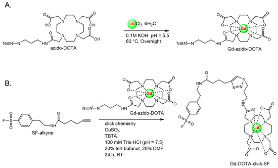 Molecules | Free Full-Text | Gadolinium-Cyclic 1,4,7,10 ...
