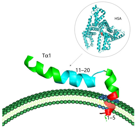 Thymosin α1 and Its Role in Viral Infectious Diseases: The Mechanism ...
