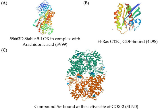 In Silico Analysis of Anti-Inflammatory and Antioxidant Properties of ...