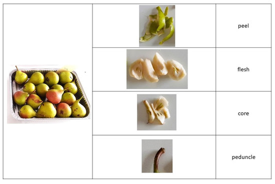 Antioxidants in Fruit Fractions of Mediterranean Ancient Pear Cultivars