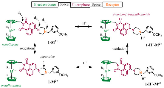Metallocene-Naphthalimide Derivatives: The Effect of Geometry, DFT ...