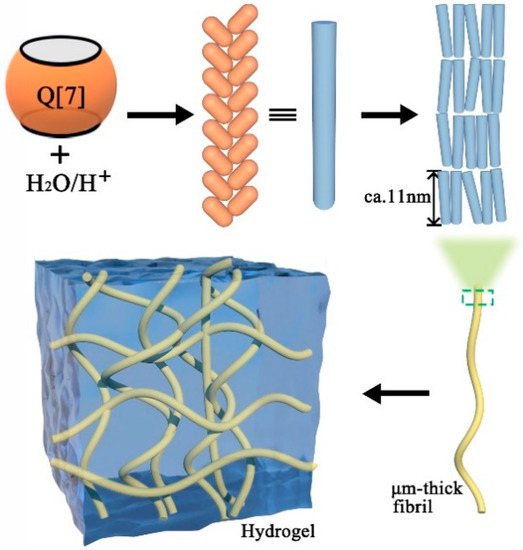 Preparation and Biomedical Applications of Cucurbit[n]uril-Based Supramolecular Hydrogels