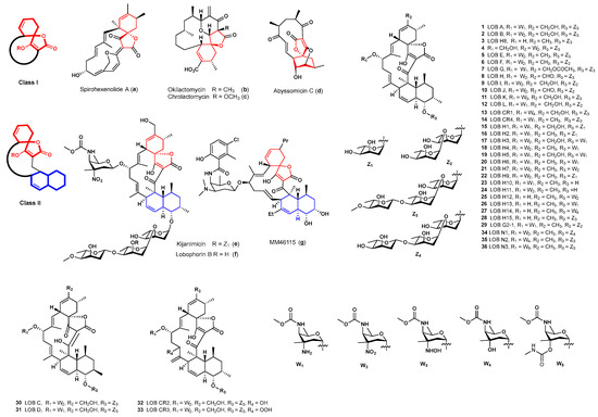 The Isolation and Structure Elucidation of Spirotetronate Lobophorins A ...