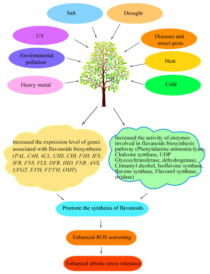 The Classification, Molecular Structure and Biological Biosynthesis of ...