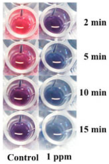Detection Techniques for Lead Ions in Water: A Review