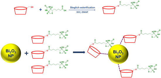 Surface Modification of Bi2O3 Nanoparticles with Biotinylated β ...
