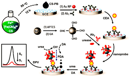 The Applications of Electrochemical Immunosensors in the Detection of ...