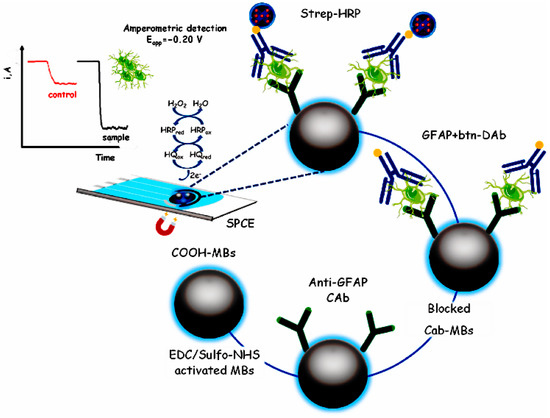 The Applications of Electrochemical Immunosensors in the Detection of ...