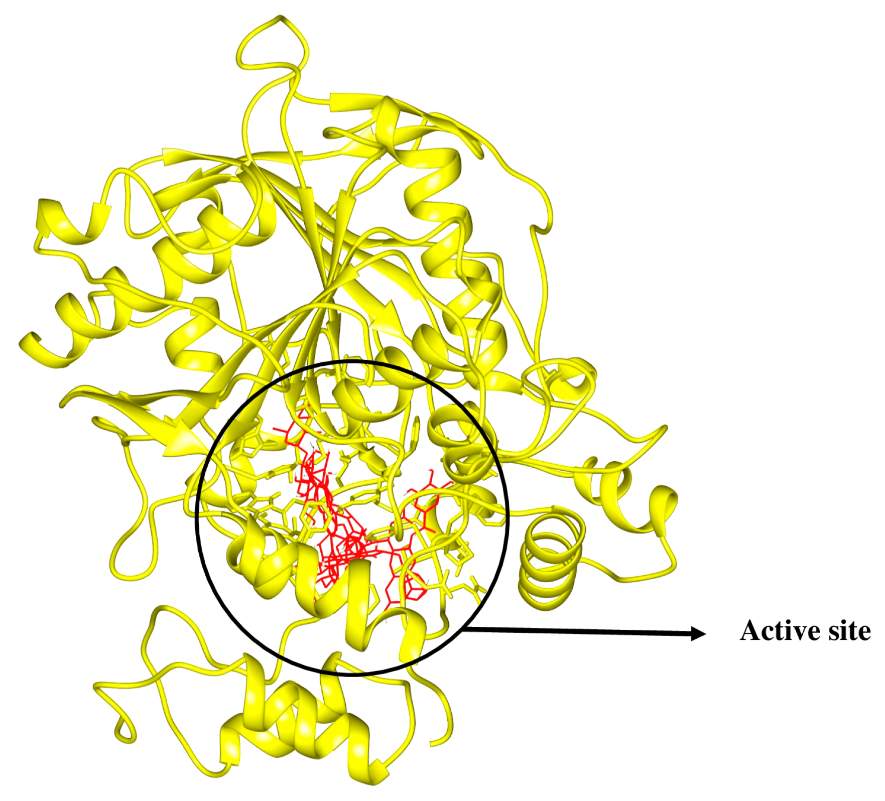 Density Functional Theory Calculations and Molecular Docking Analyses ...