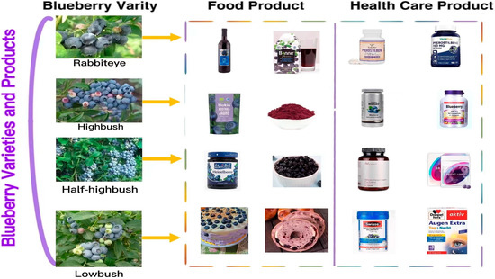 The Research Progress of Extraction, Purification and Analysis Methods ...