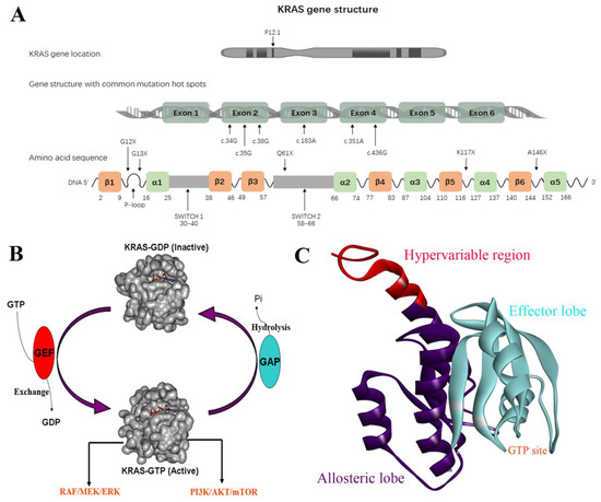 Multiple Strategies to Develop Small Molecular KRAS Directly Bound ...