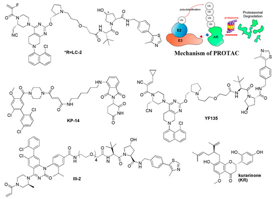 Multiple Strategies to Develop Small Molecular KRAS Directly Bound ...