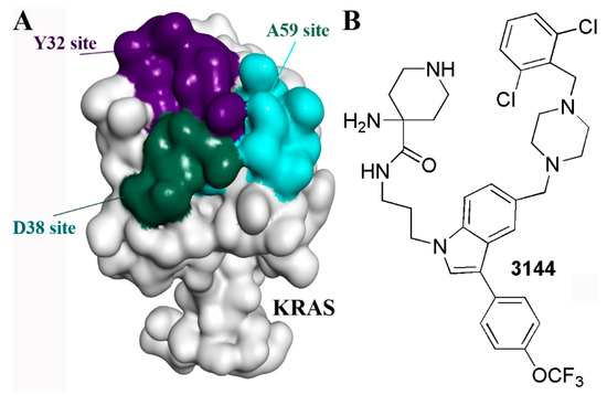 Multiple Strategies to Develop Small Molecular KRAS Directly Bound ...