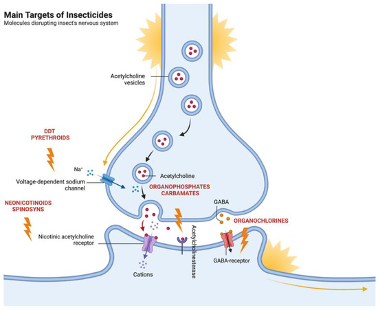 The Buzz on Insecticides: A Review of Uses, Molecular Structures ...