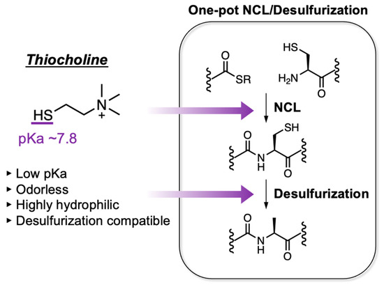 Thiocholine-Mediated One-Pot Peptide Ligation and Desulfurization