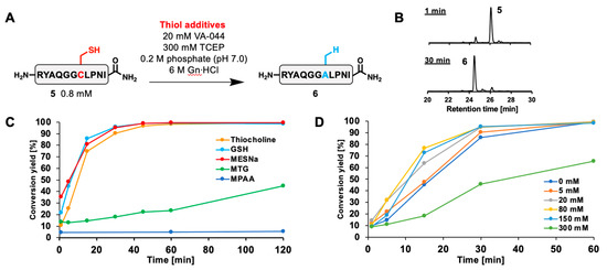 Thiocholine-Mediated One-Pot Peptide Ligation and Desulfurization