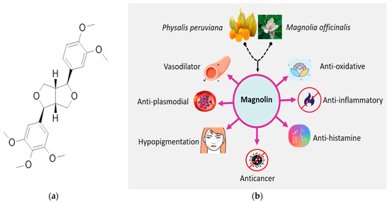 Anticancer Potentials of the Lignan Magnolin: A Systematic Review