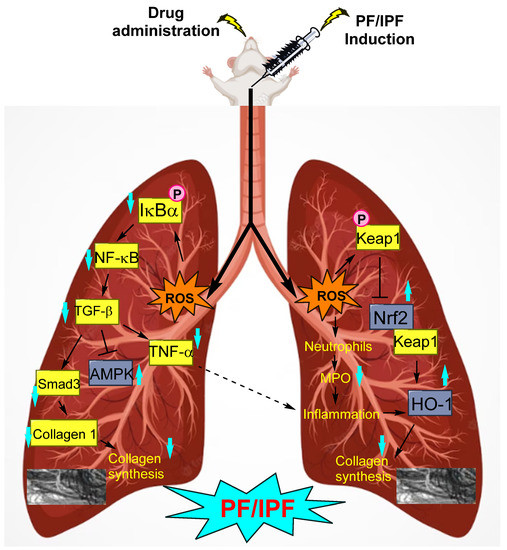 Molecules | Free Full-Text | Recent Advances (2015–2020) in Drug ...