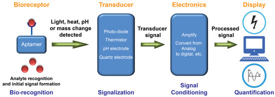 Aptamers Targeting Membrane Proteins for Sensor and Diagnostic Applications