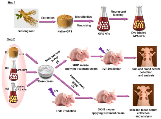 Research Progress on Extraction, Isolation, Structural Analysis and ...